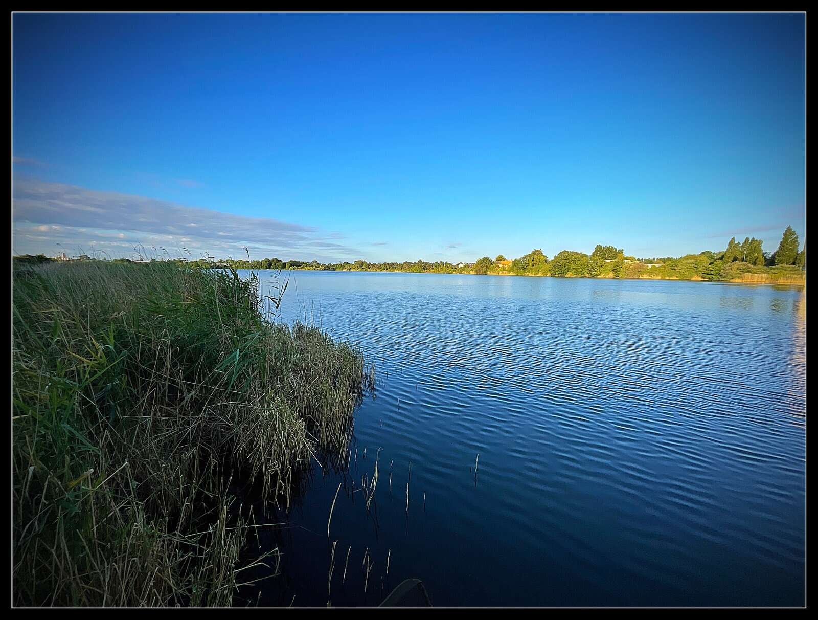 Top 15 Best Fishing Lakes in Kent With Pictures (2024)